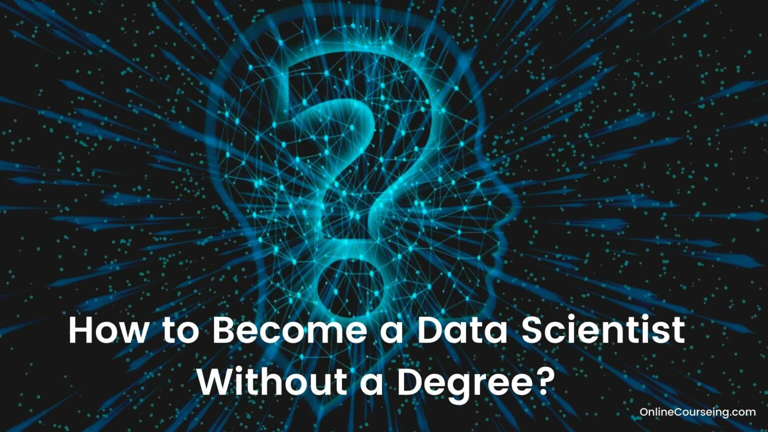 How to Become a Data Scientist Without a Degree in 2024